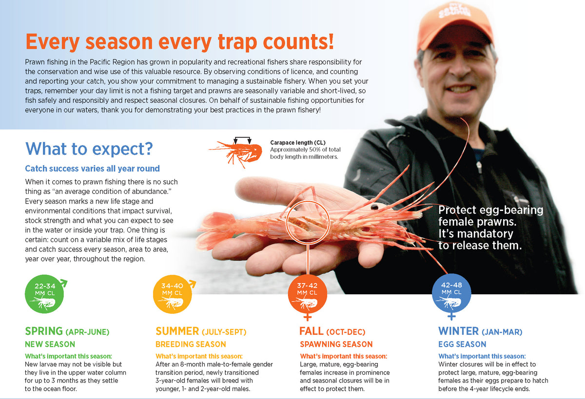 12 Days of Prawning – Pro Marine Products