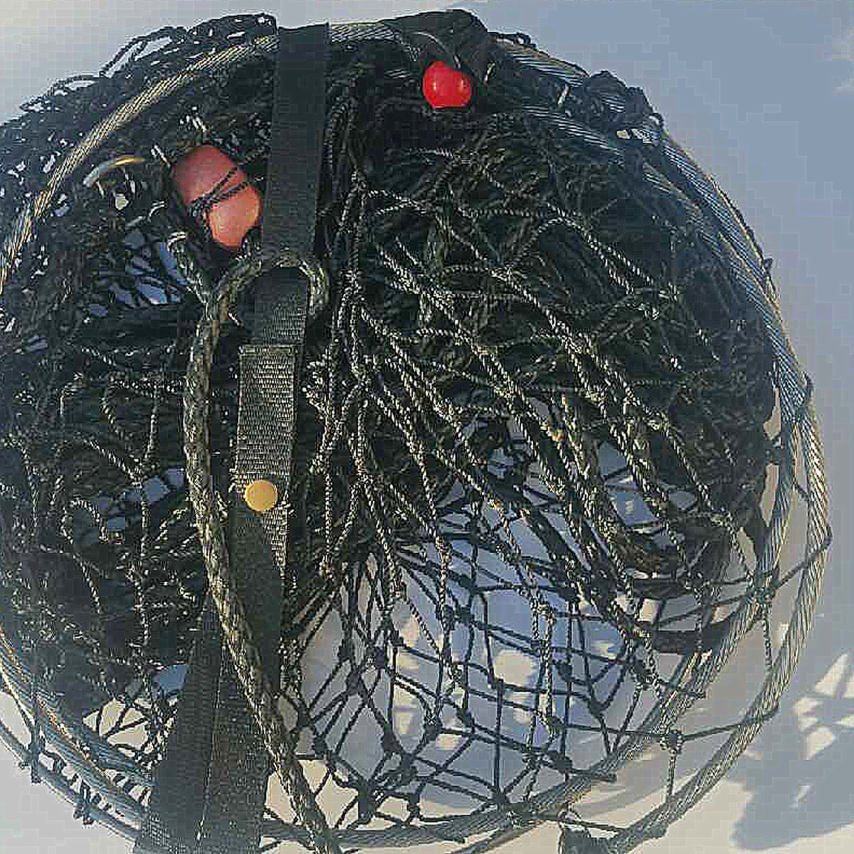 FLEX FOLD LIFT CRAB TRAP – Pro Marine Products